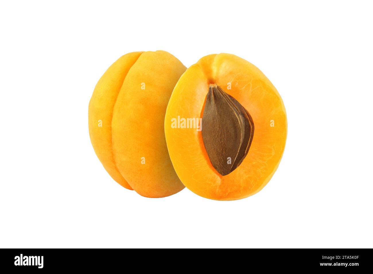 cut apricot fruits isolated on white background, with clipping path ...