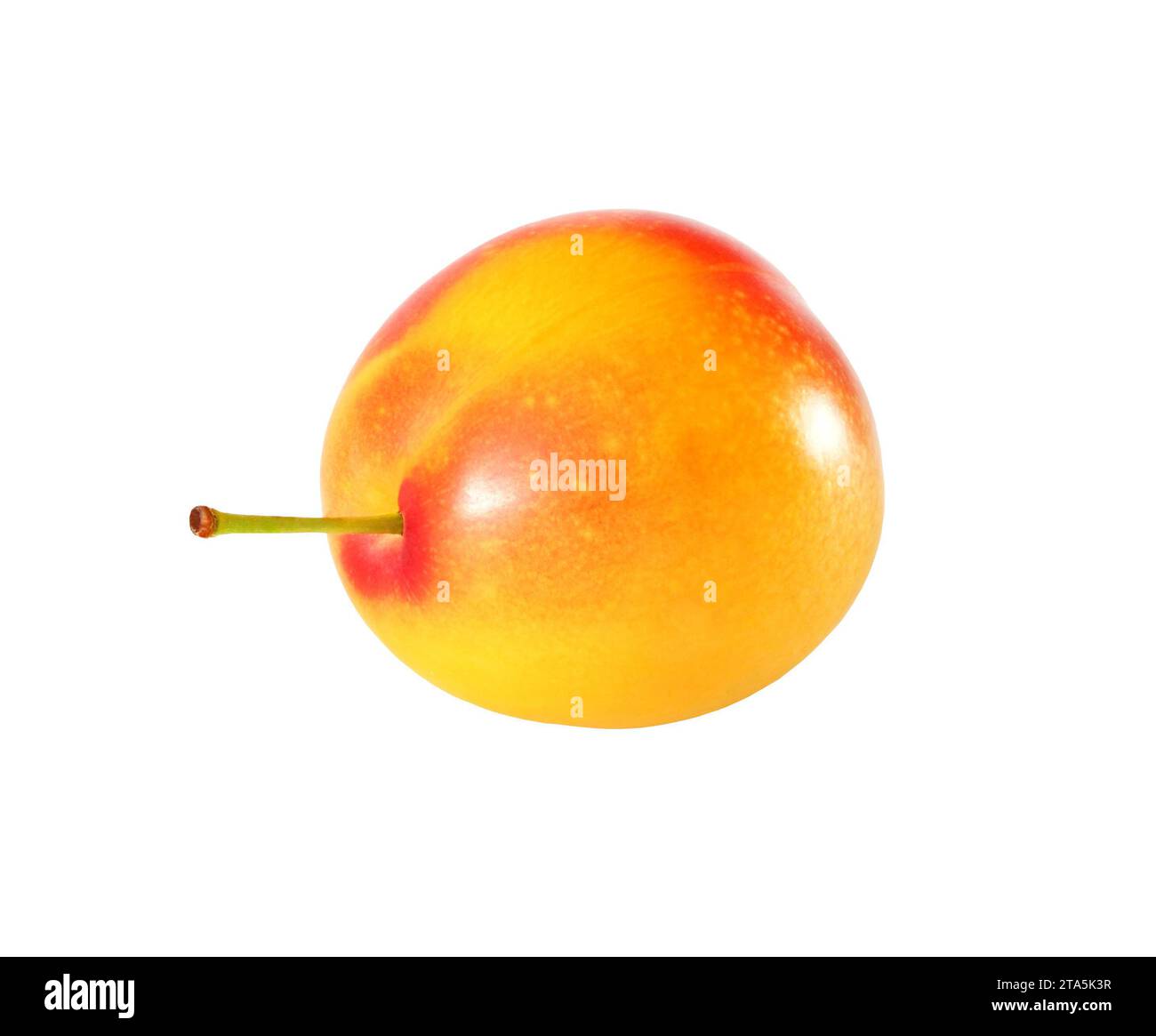 whole yellow plum isolated on white background with clipping path Stock ...