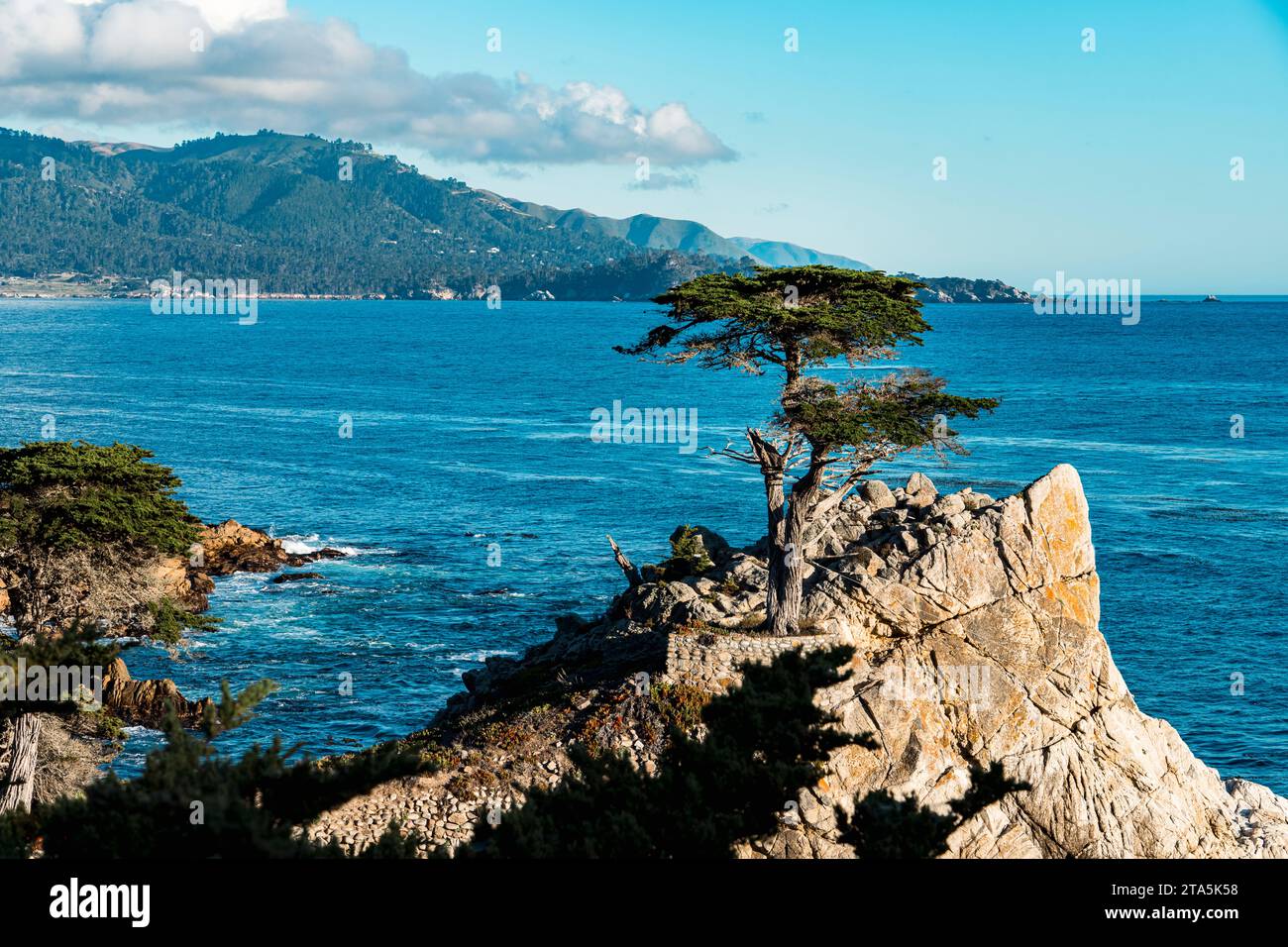 Lone Cypress on the 17 Mile Drive Monterey Stock Photo - Alamy