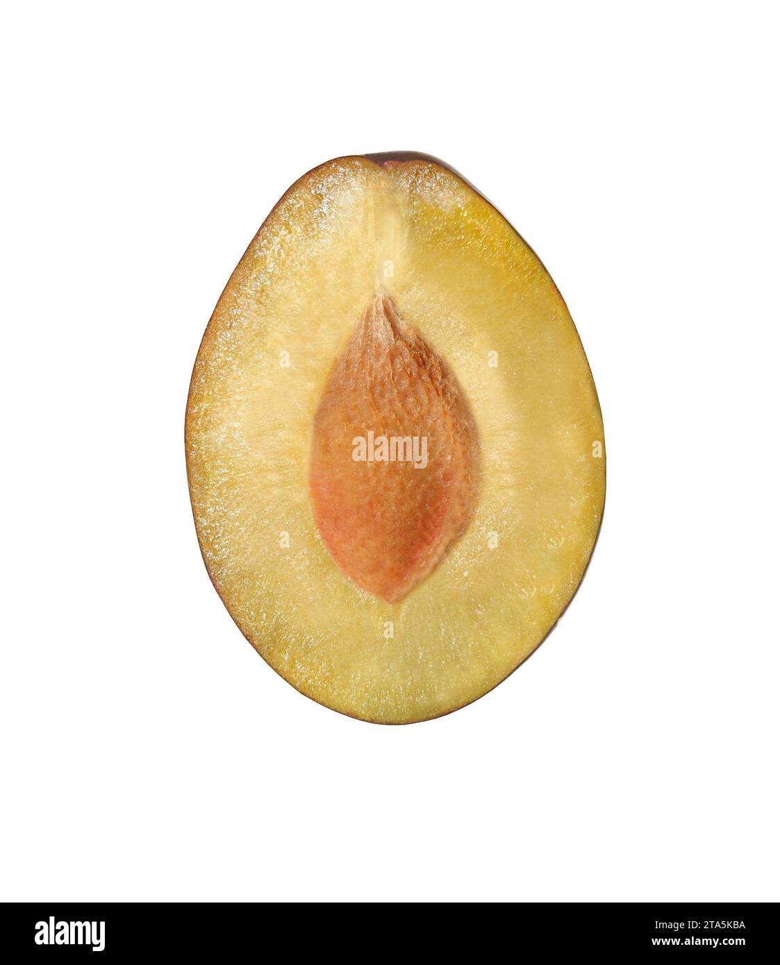 halves cut prune isolated on white background with clipping path Stock ...