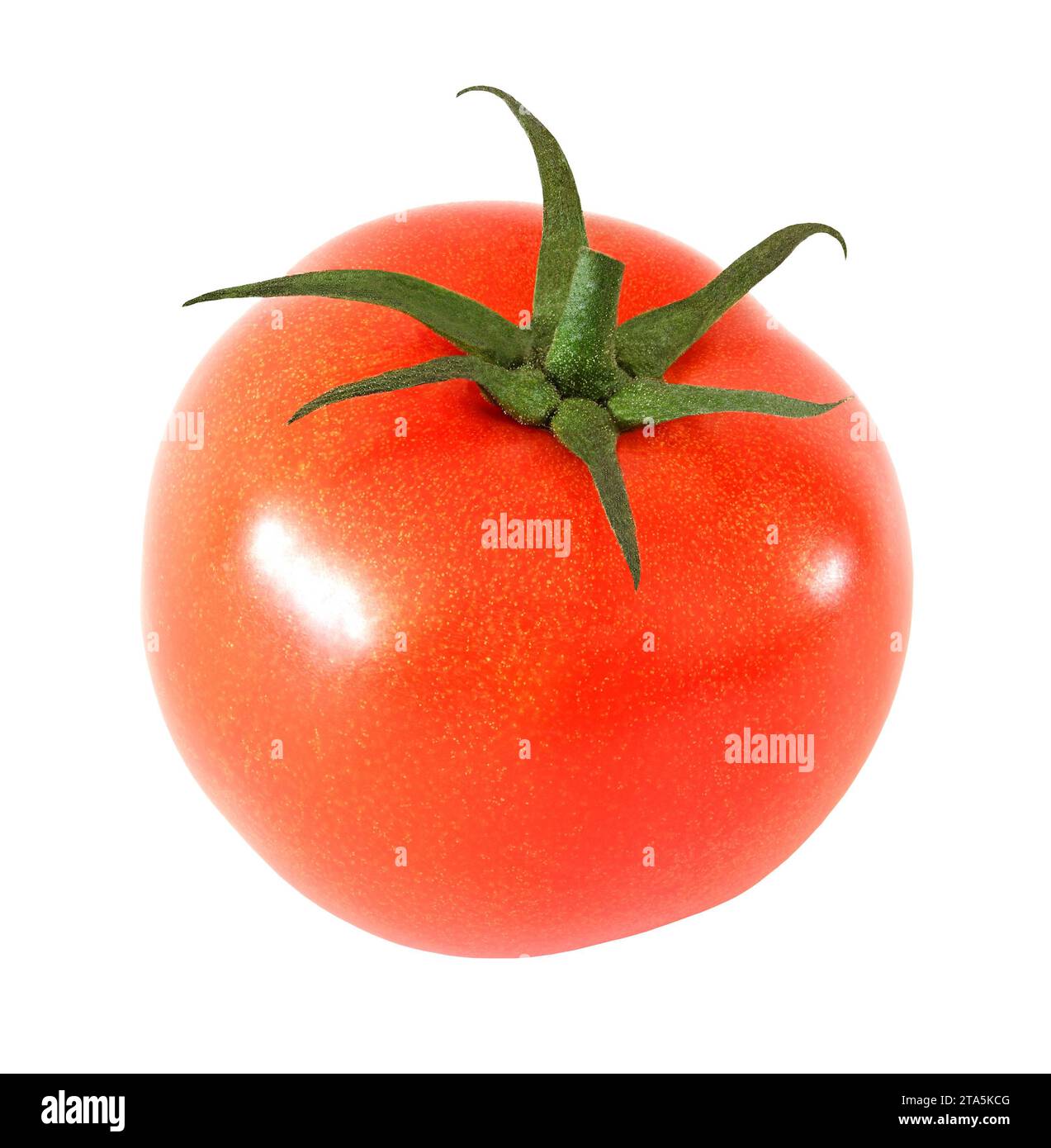 whole tomato isolated on white background with clipping path Stock ...