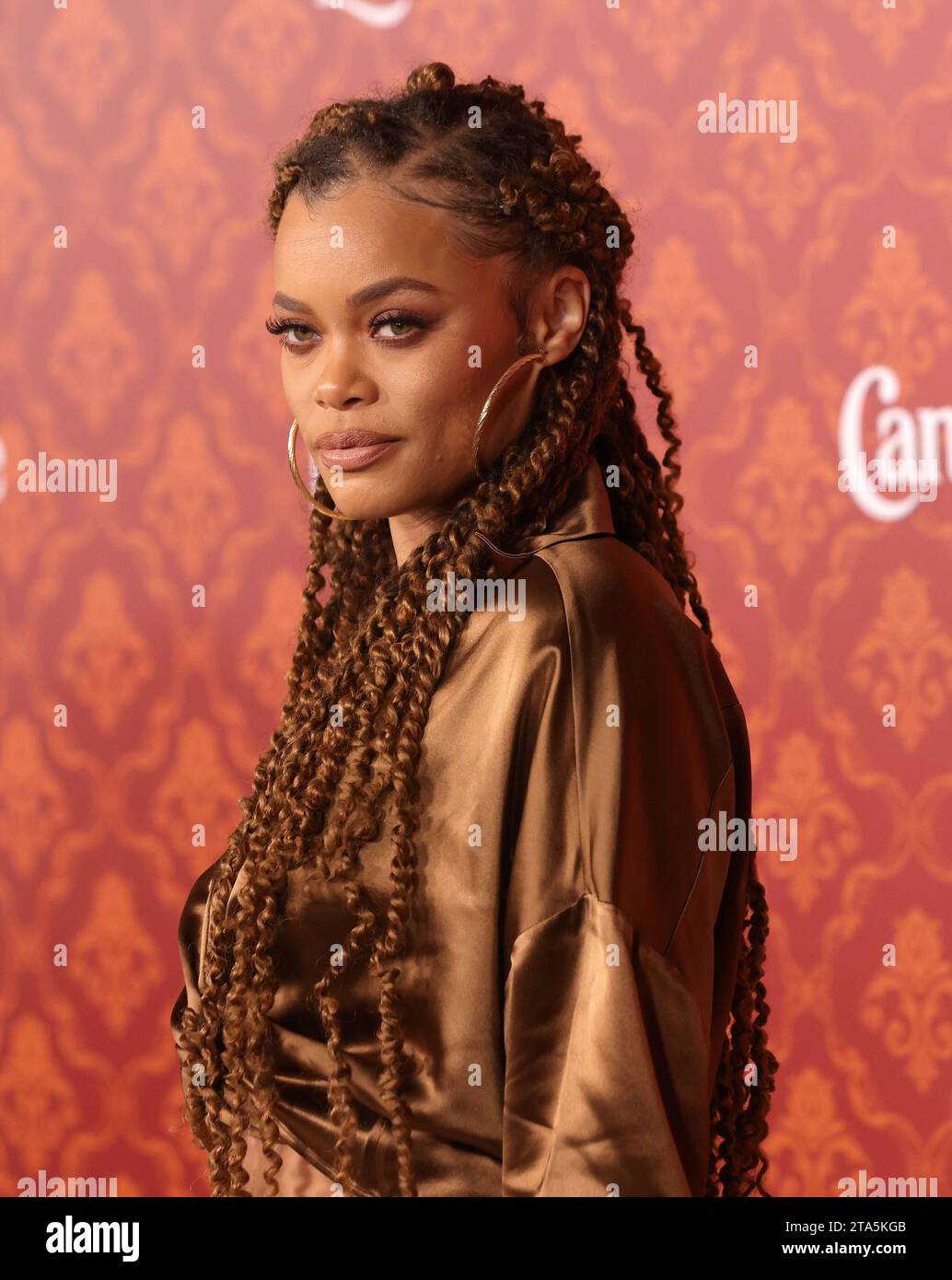 Los Angeles, United States. 28th Nov, 2023. Andra Day attends the world ...