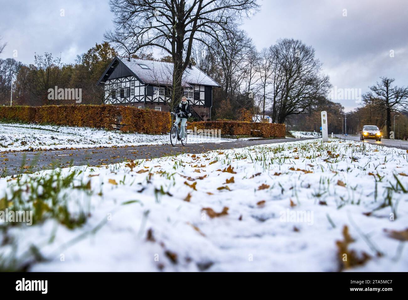 DE LUTTE - Traffic in a winter landscape on the Tankenberg between ...