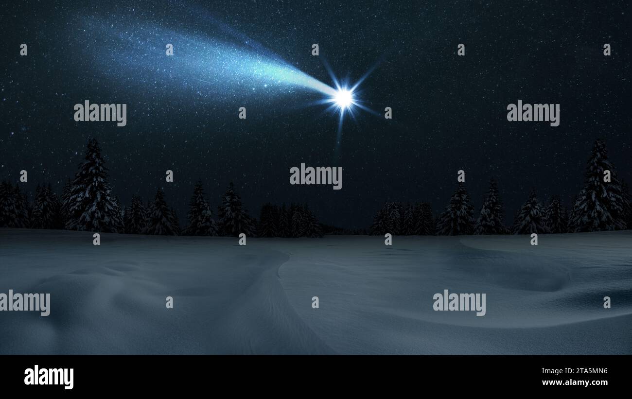 Christmas night. The first star lit up in the winter forest with snow ...