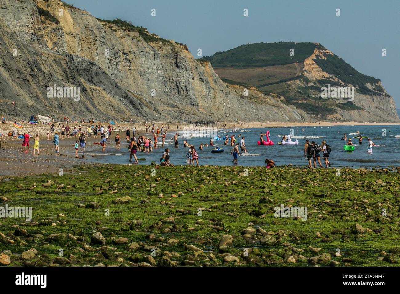 Devon cliff england hi-res stock photography and images - Alamy