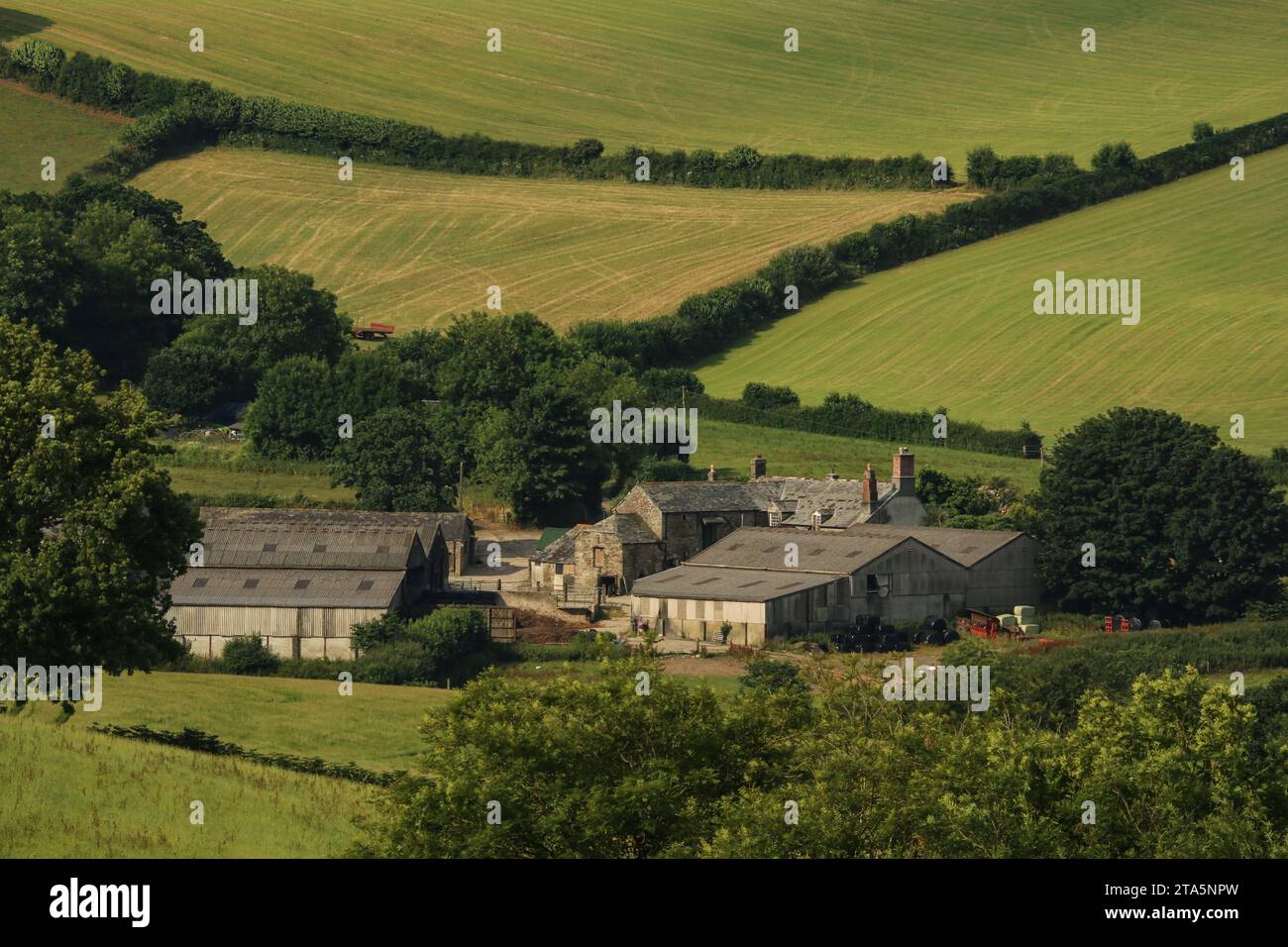 Farm, trees, hedges and fields in the countryside of Cornwall, England ...