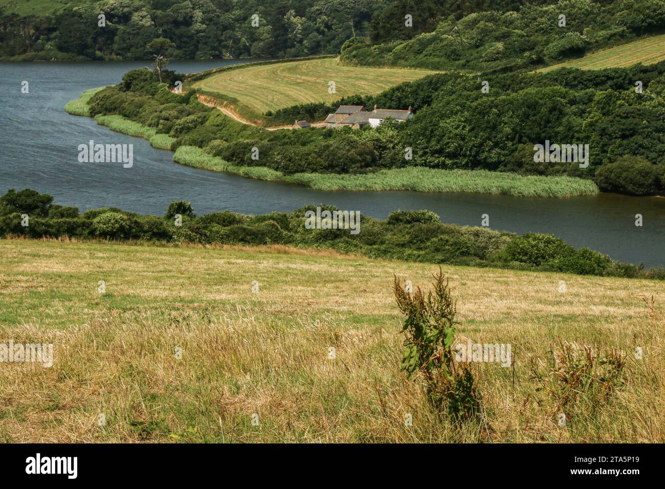 Penrose loe pool hi-res stock photography and images - Alamy
