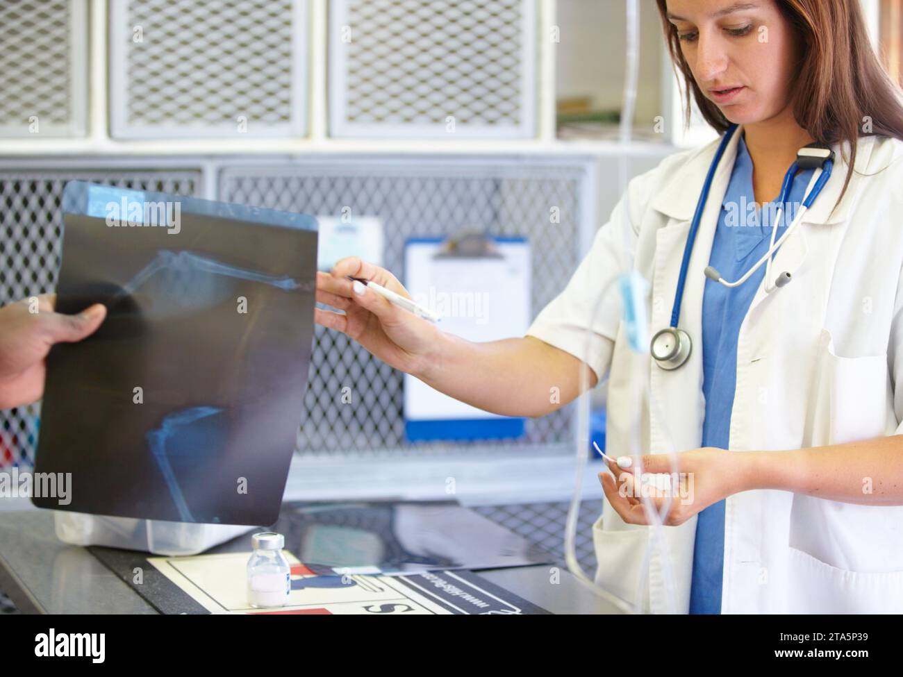 Talking vet surgery hi-res stock photography and images - Alamy