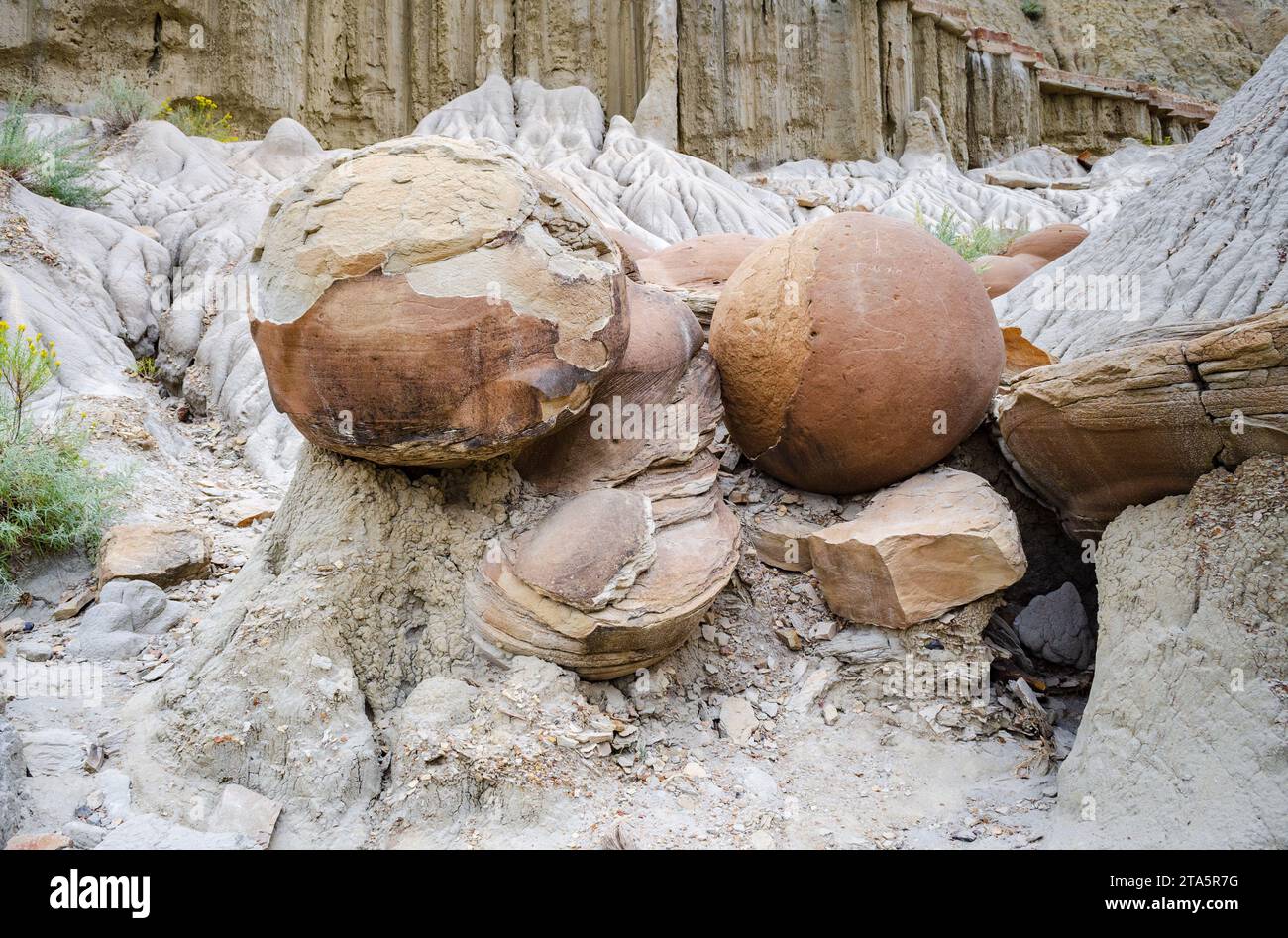 Large Spherical Boulder Rocks Also Known as Concretions at Theodore ...
