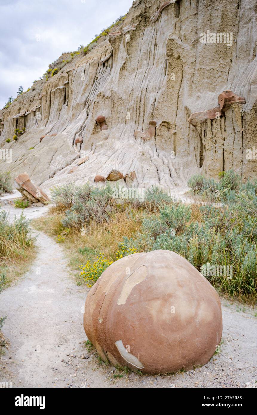 Large Spherical Boulder Rocks Also Known as Concretions at Theodore ...