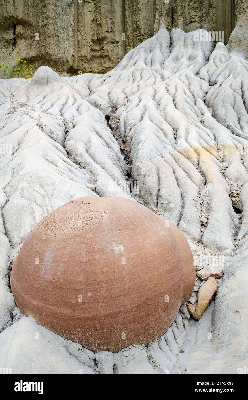 Large Spherical Boulder Rocks Also Known as Concretions at Theodore ...