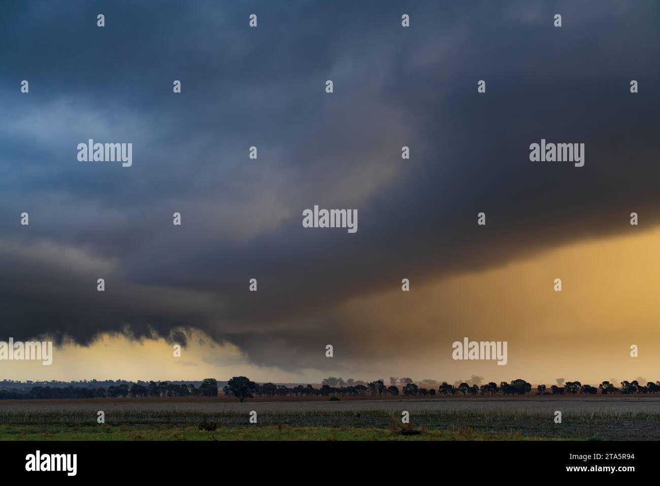 Rain falling from a dramatic cloud formation over rural farmland at ...