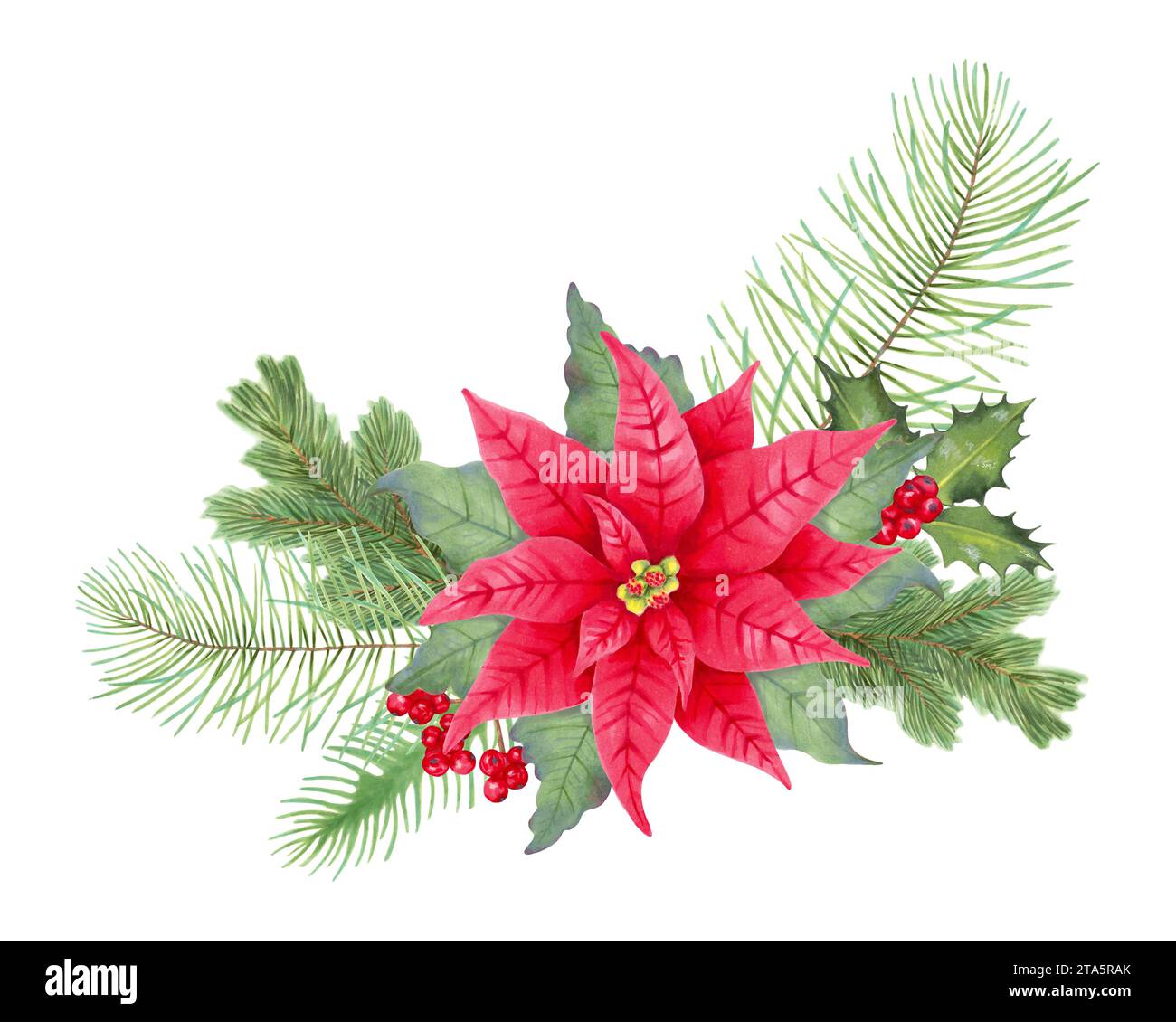 Christmas bouquet with poinsettia flower, holly berries, pine, spruce ...