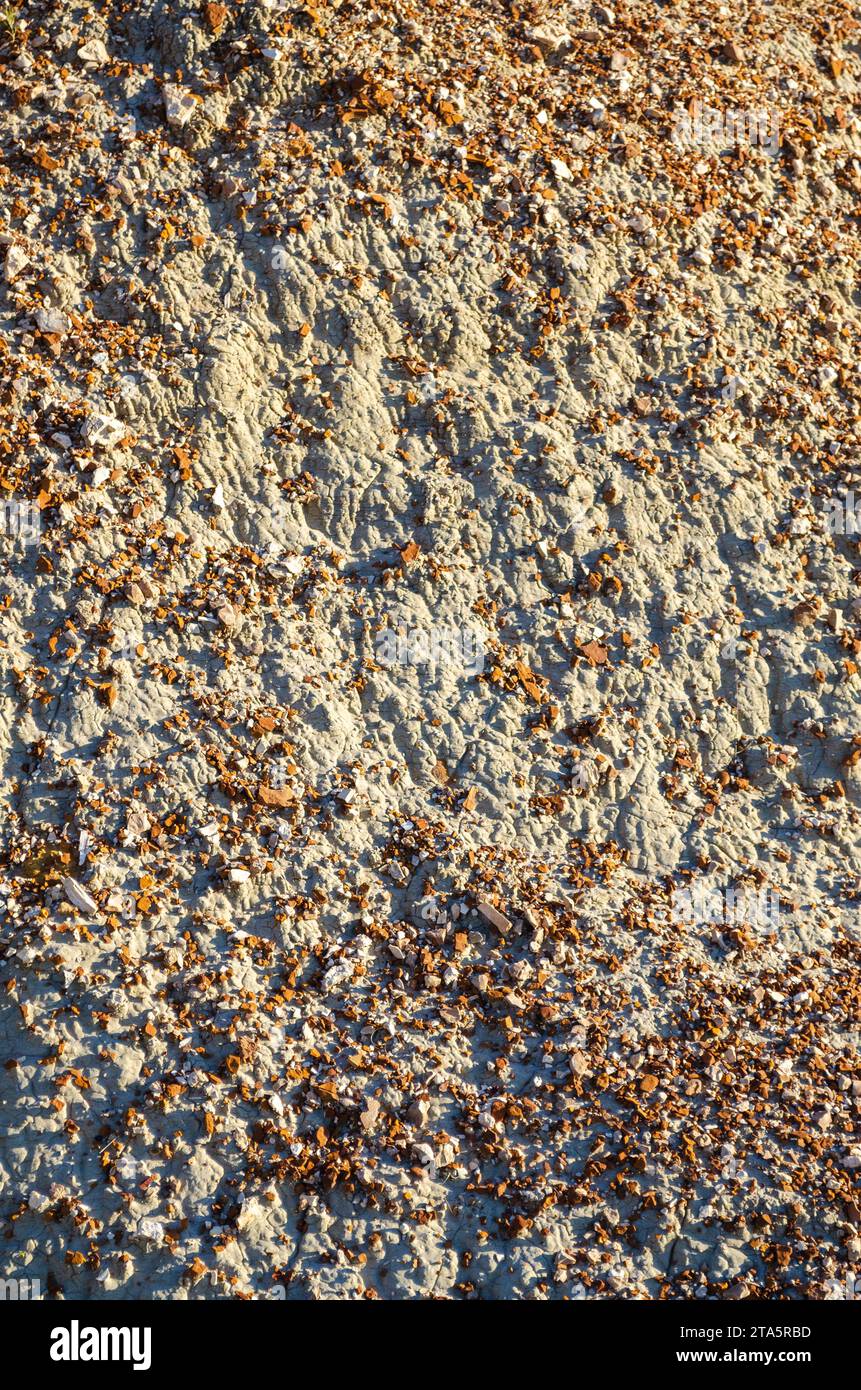 The Texture of the Ground in the Badlands at Theodore Roosevelt ...