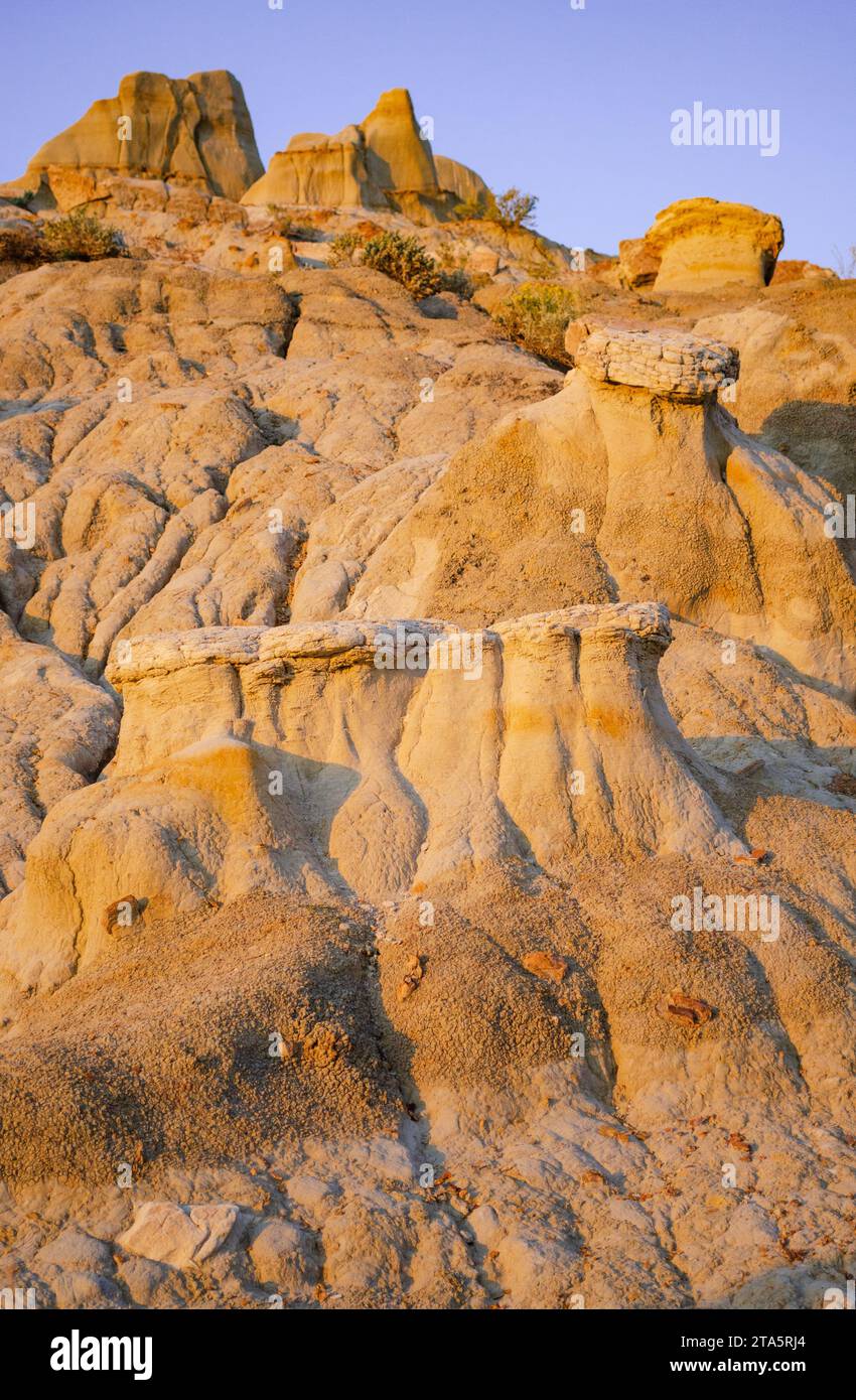 Roosevelts elkhorn ranch hi-res stock photography and images - Alamy