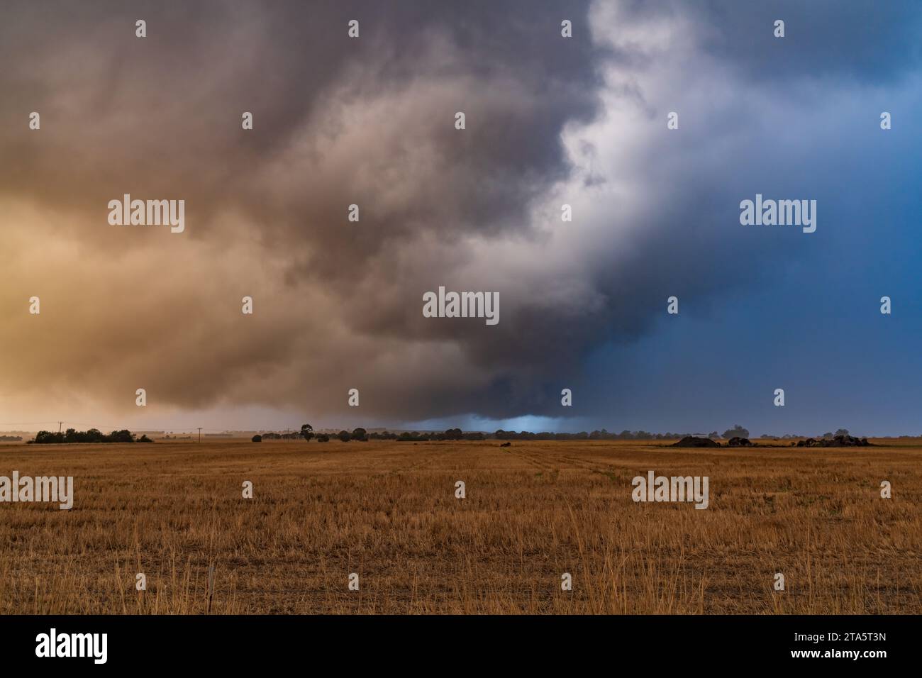 Rain falling from a dramatic cloud formation over rural farmland at ...
