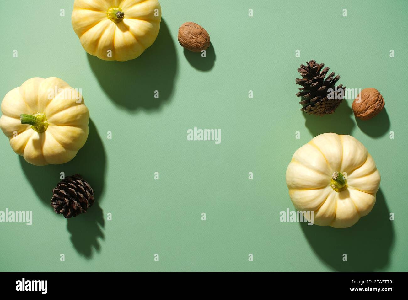 Against the green background, mini pumpkins, dry pine cones and walnuts ...
