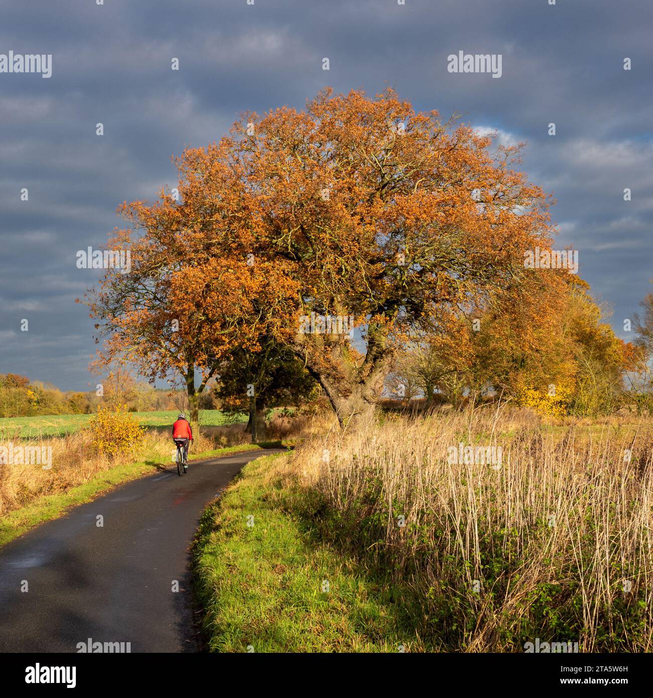 Countrty lane hi-res stock photography and images - Alamy
