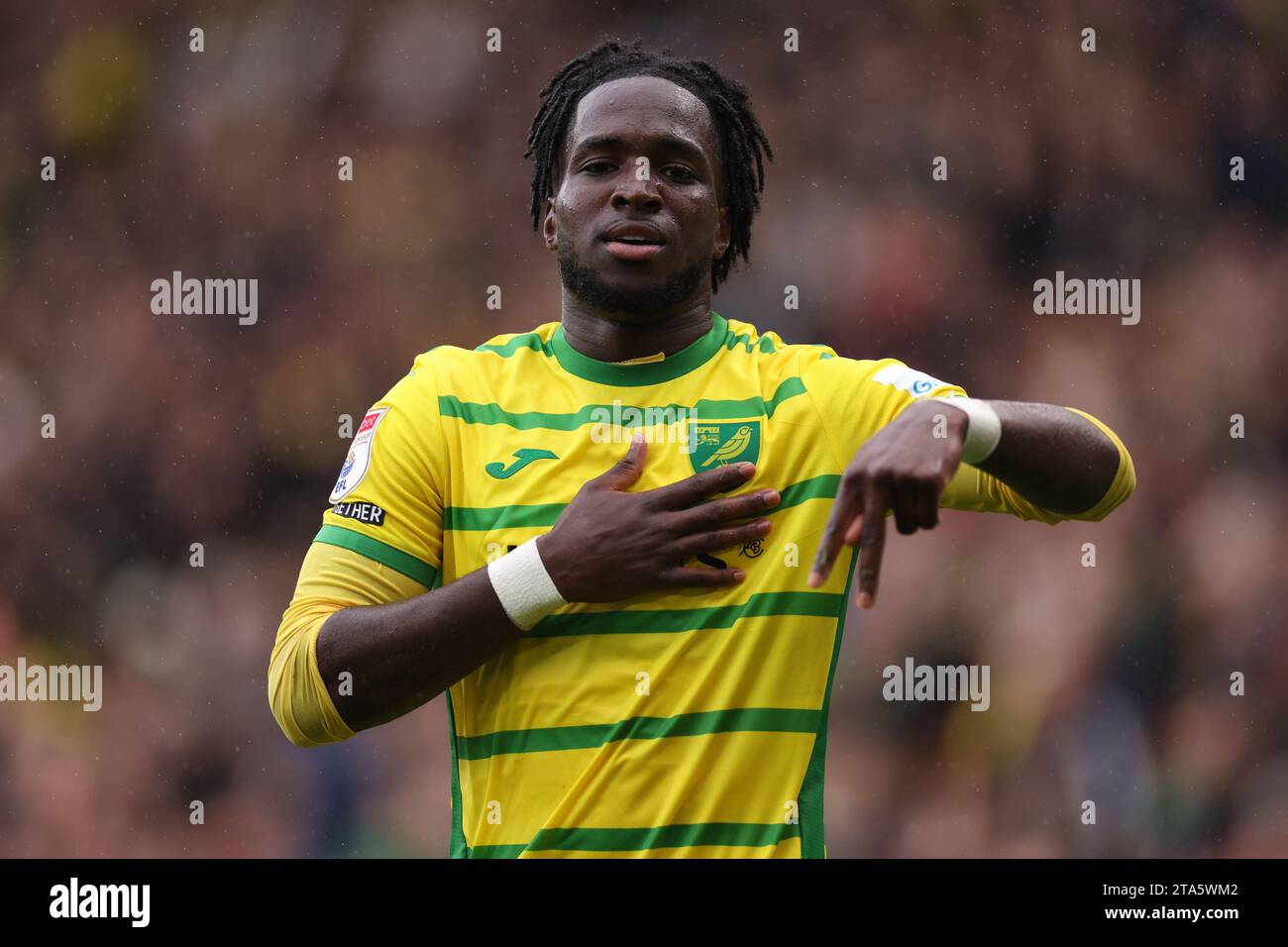 Jonathan Rowe of Norwich City celebrates after he scores an equalising ...
