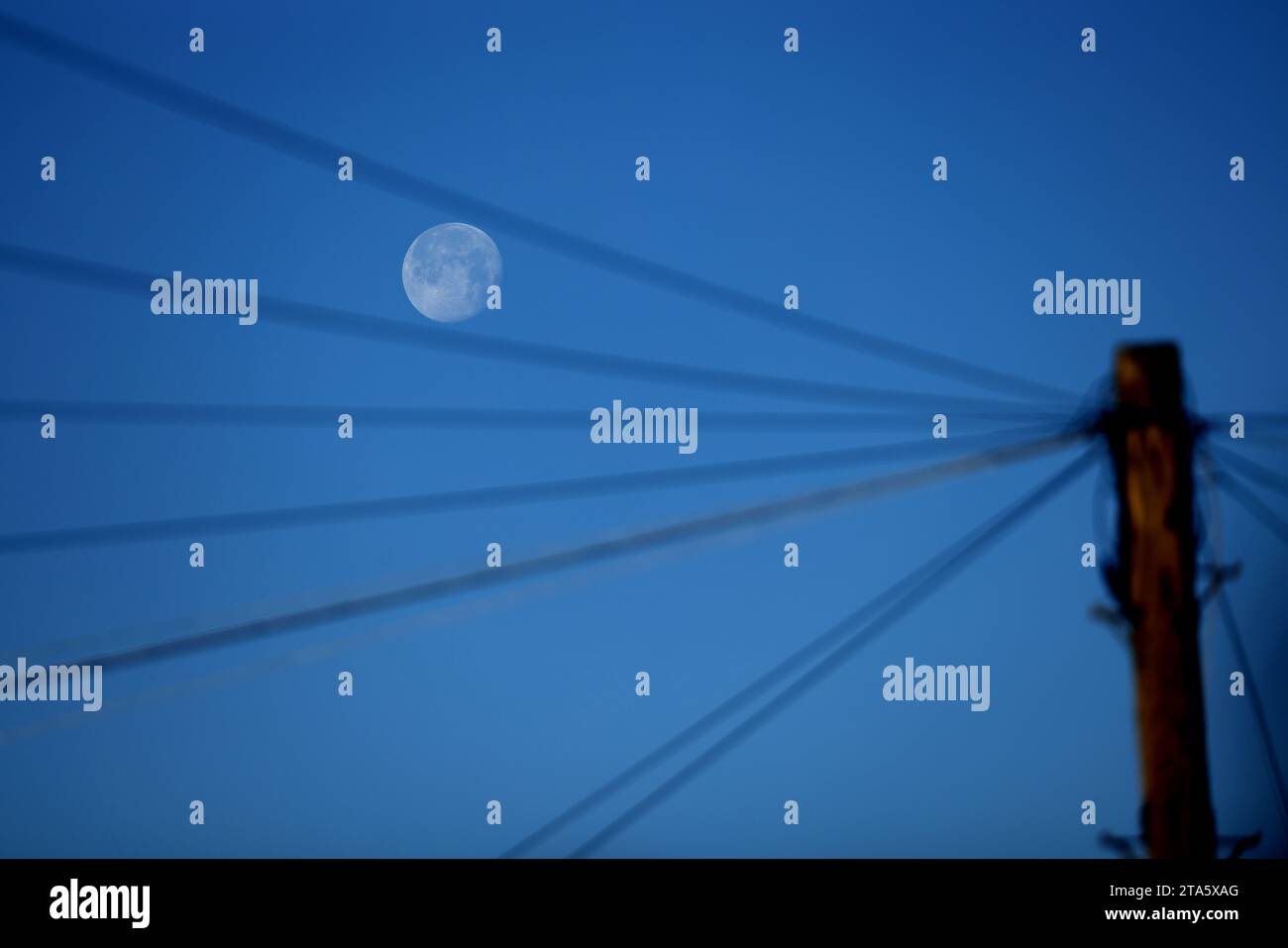 Peterborough, UK. 29th Nov, 2023. The beaver moon seen behind these ...