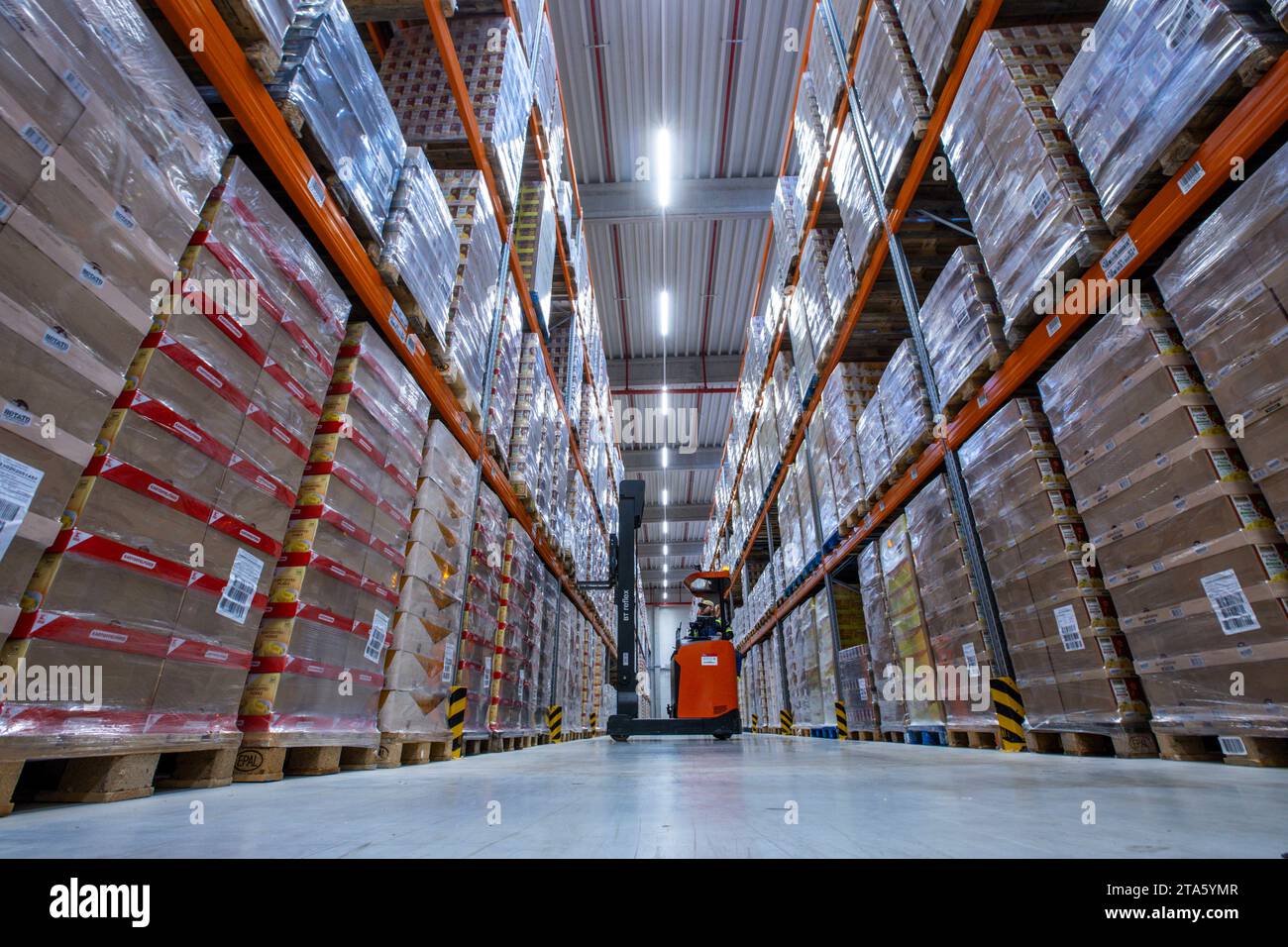 Rostock, Germany. 21st Nov, 2023. A forklift driver transports pallets ...