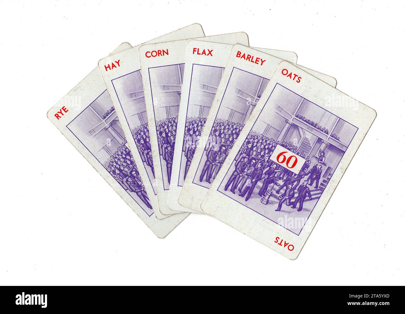A fan of cards from the vintage game of PIT isolated on a white ...
