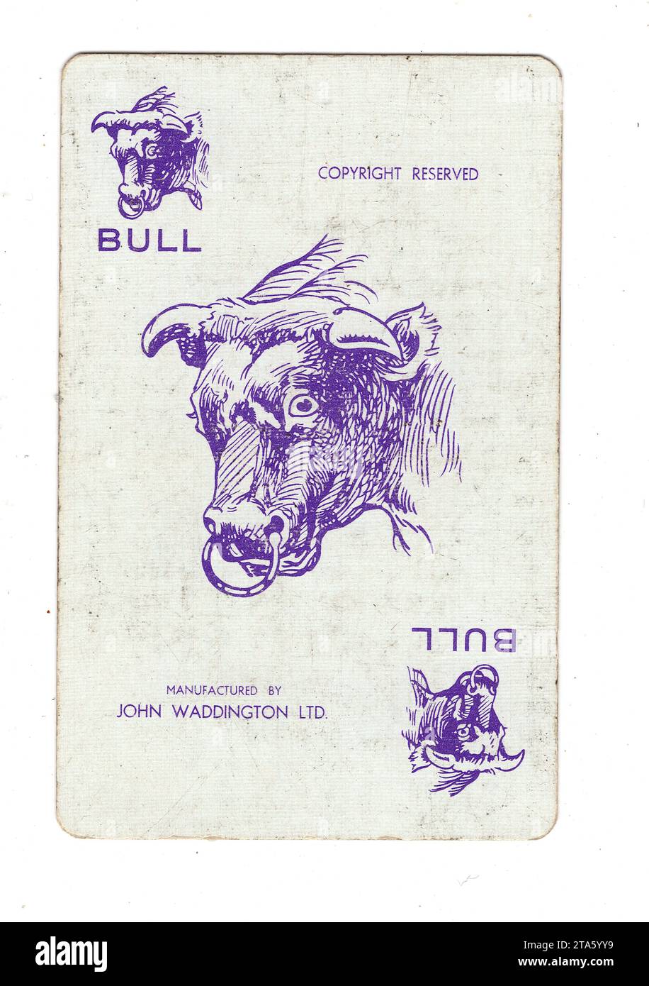 A bull card from the vintage game of PIT isolated on a white background ...