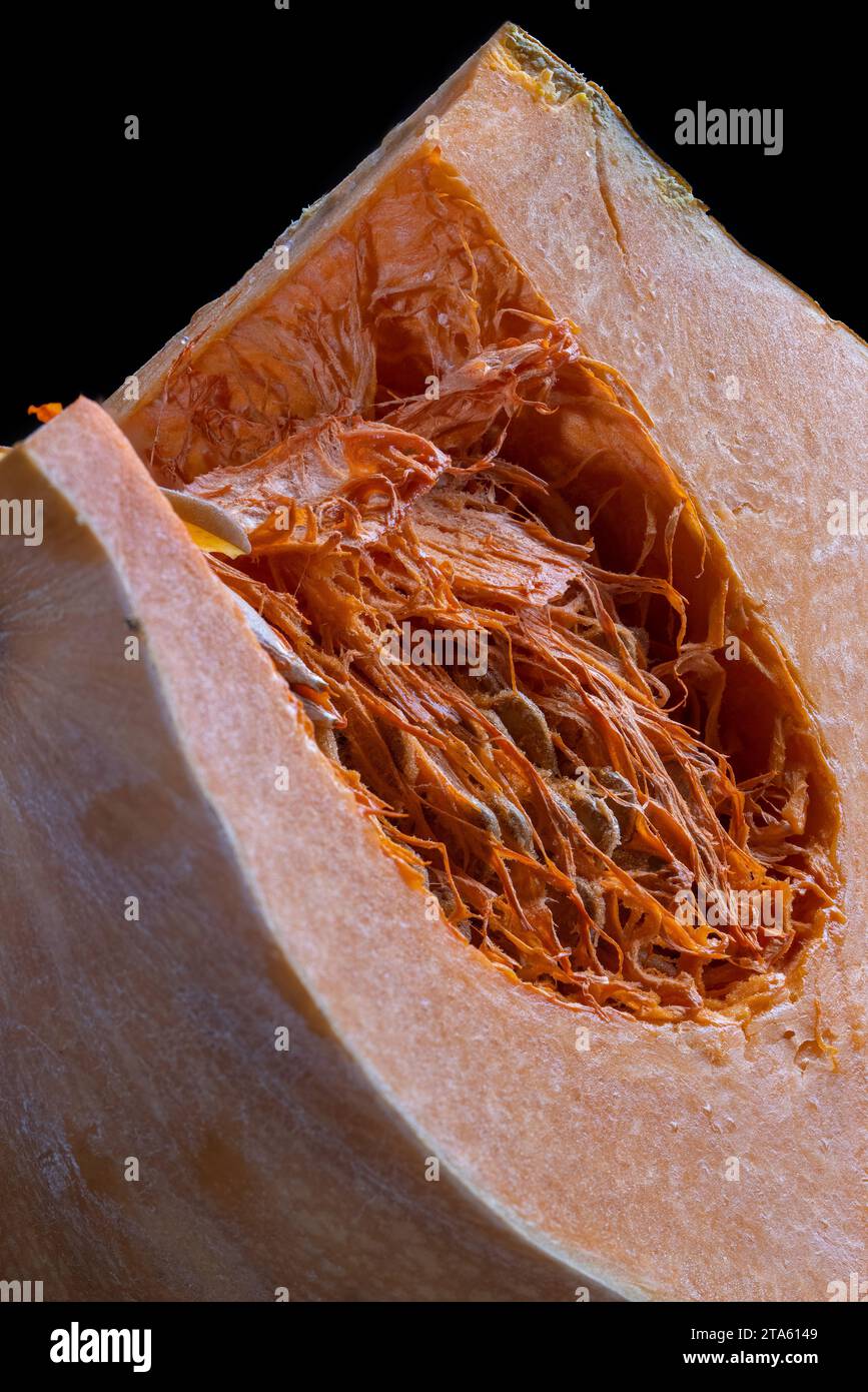 Macro shot of the interior of a pumpkin to show the seeds Stock Photo ...