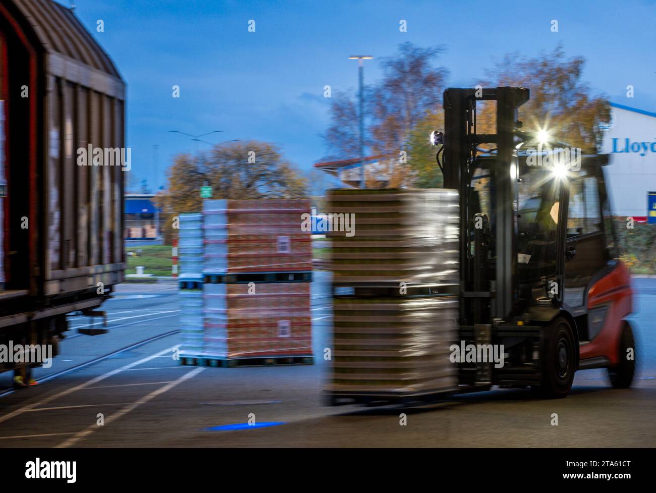 Rostock, Germany. 21st Nov, 2023. Pallets and transported goods are ...