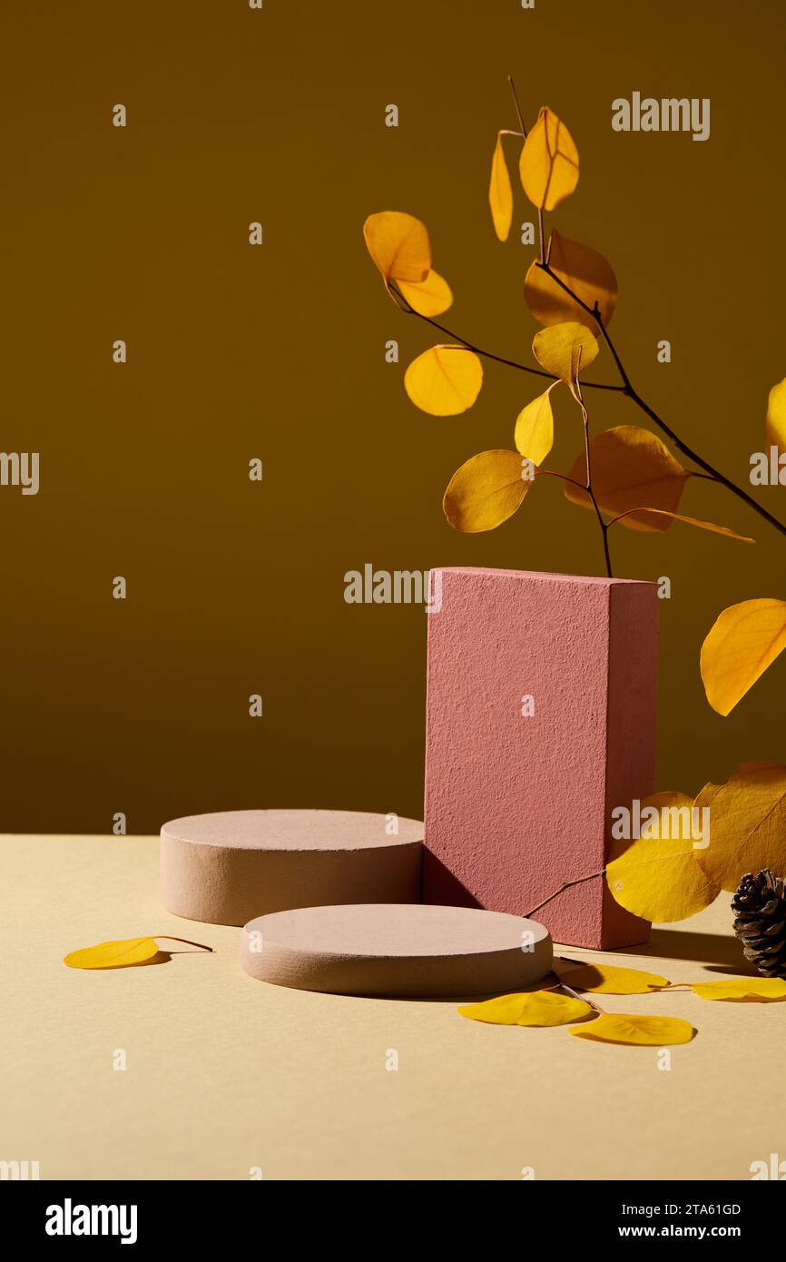 Front view of brown cylinder podiums and red rectangular podium ...