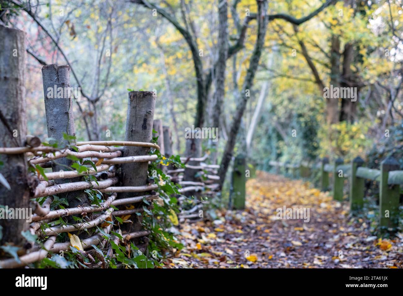 Camley Street Natural Park, Kings Cross, St Pancras, London UK. Urban ...