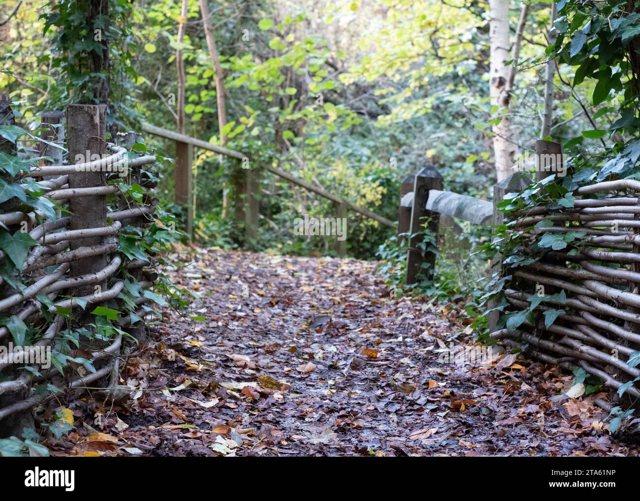 Camley Street Natural Park, Kings Cross, St Pancras, London UK. Urban ...