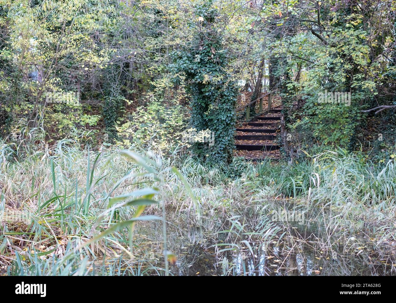 Camley Street Natural Park, Kings Cross, St Pancras, London UK. Urban ...