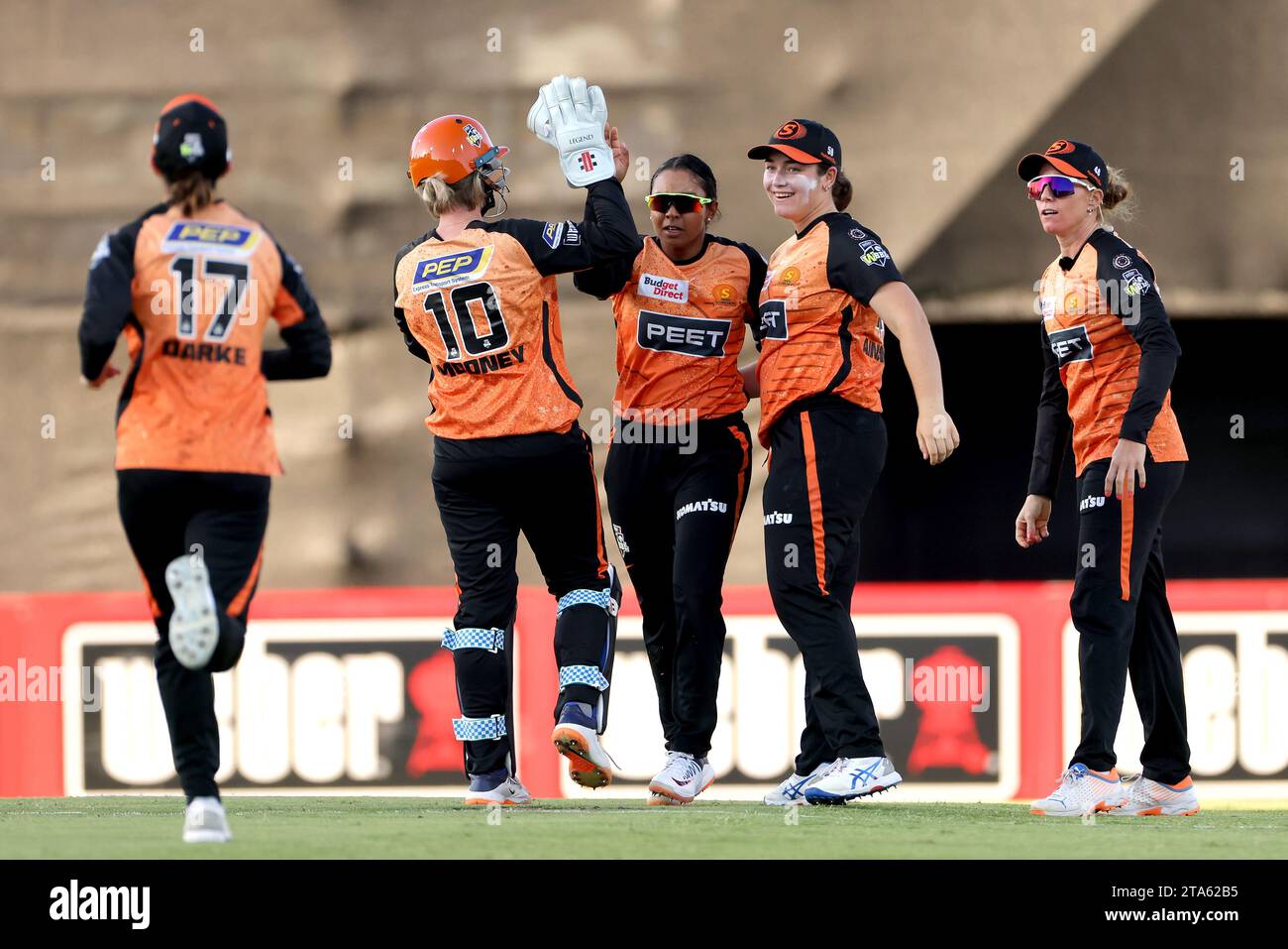 Perth, Australia. 29th Nov, 2023. Alana King of the Scorchers is ...