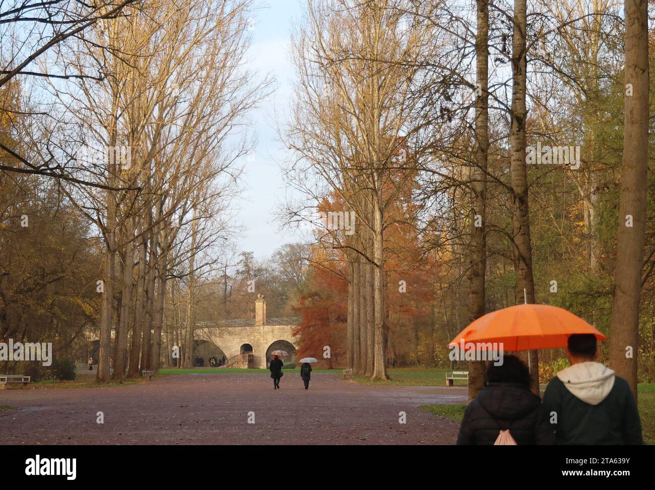 Weimar 19.11.2023, Weimar, Menschen laufen im Regen durch den Ilmpark ...