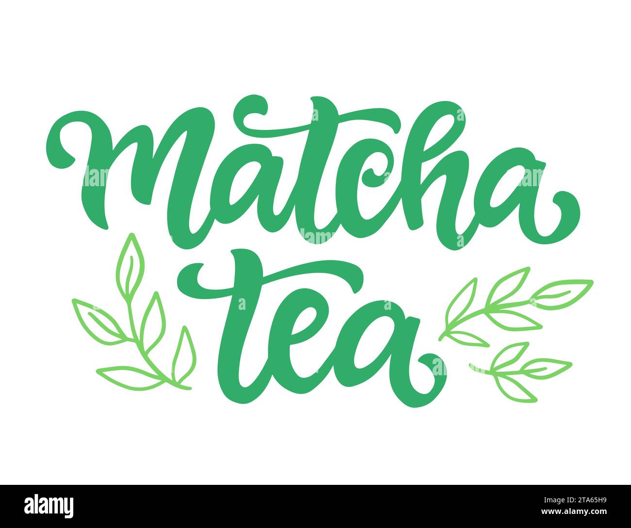 Matcha Tea Inscription Logo Hand Written Lettering Stock Vector Image ...