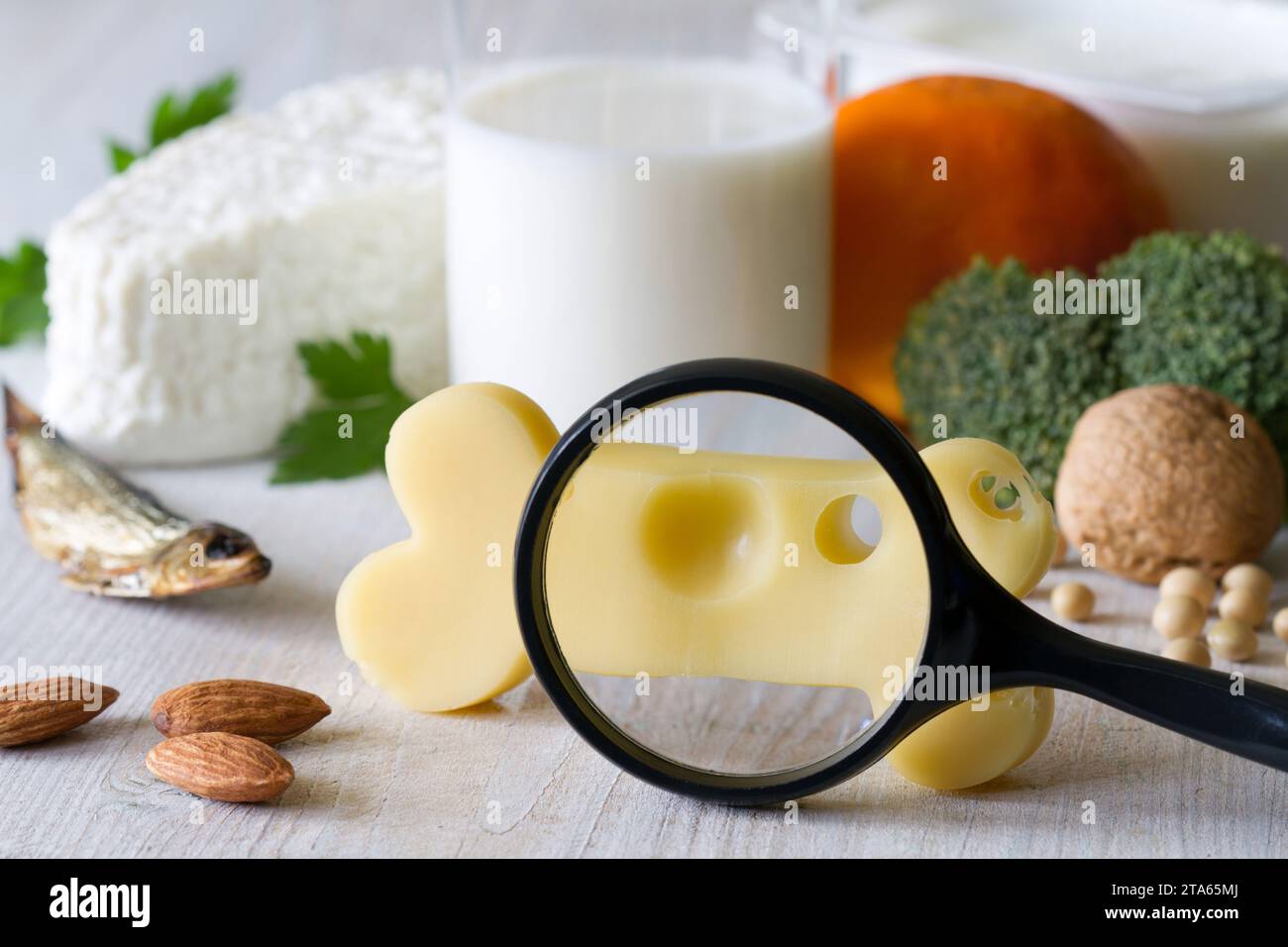 Bone shaped cheese, magnifier and bone strengthening foods products ...
