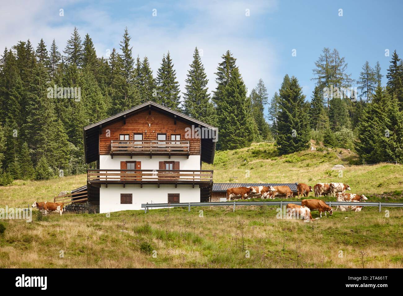 Traditional farm in austrian alps. Rural landscape in Austria Stock ...