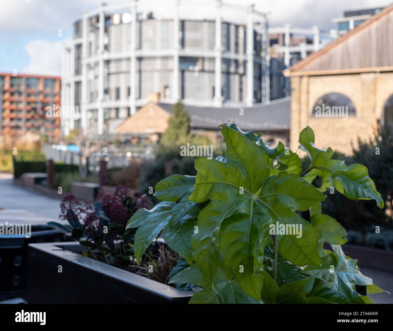 Kings Cross, London UK. Victorian gas holders converted into upmarket ...