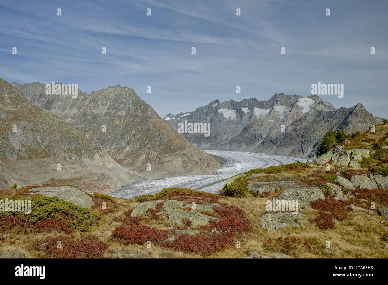 Grosser Aletschgletscher, Fall Colours Stock Photo - Alamy