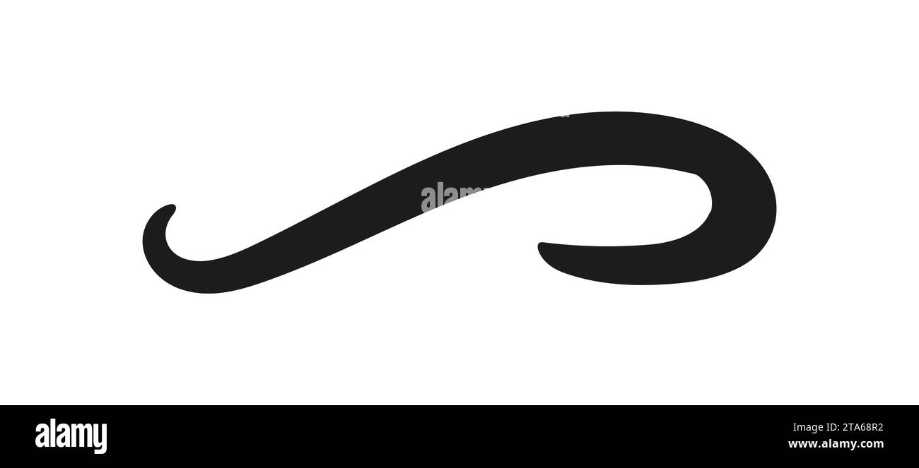 Swoosh and swoops underline typography tail shape. Brush drawn thick ...