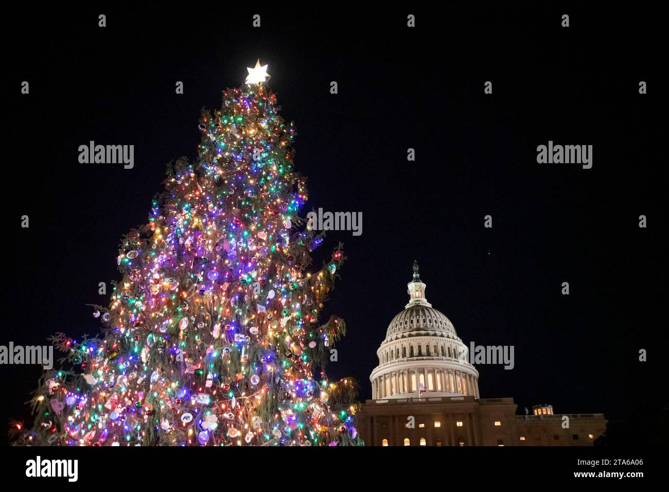 The Capitol Tree stands tall against a frigid night sky on the West ...