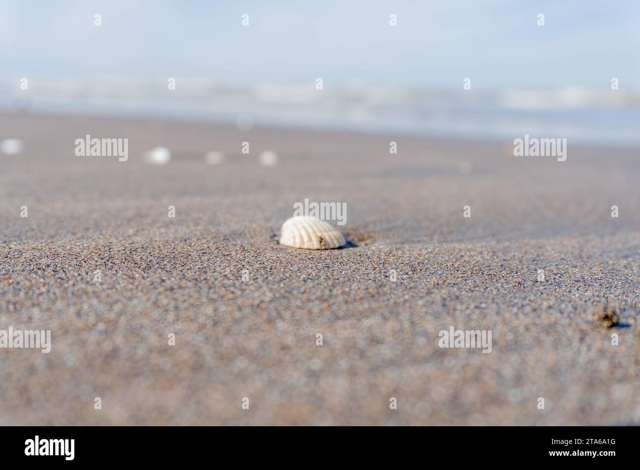 A view of shells and boats on the coast of the Caspian Sea Stock Photo ...