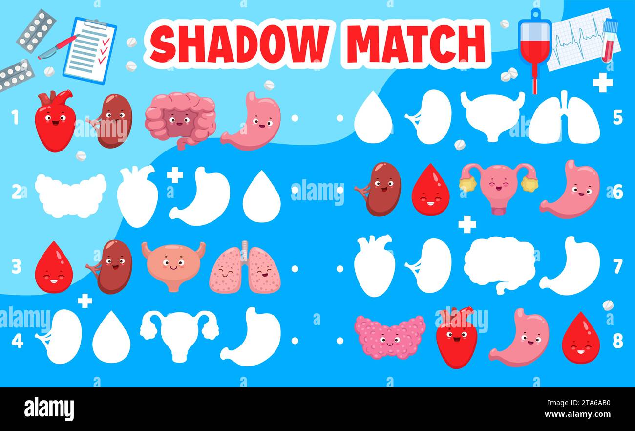 Shadow match game quiz, cartoon human body organ characters, vector ...