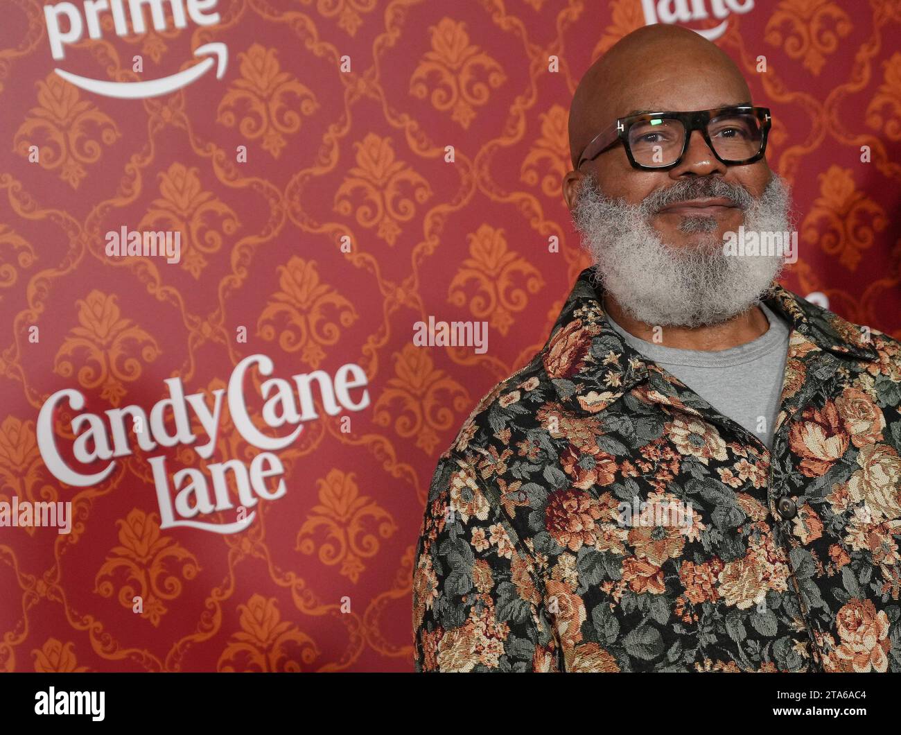 Los Angeles, USA. 28th Nov, 2023. David Alan Grier arrives at the Amazon Prime Video's CANDY ...