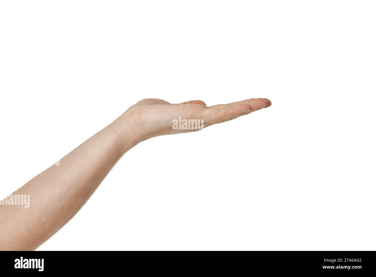 male hand holding something with empty palms up on white background ...
