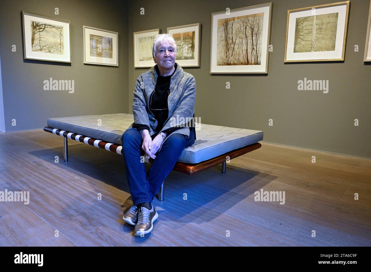 Edinburgh, Scotland, UK. 29th Nov 2023. The Scottish Gallery in Dundas ...