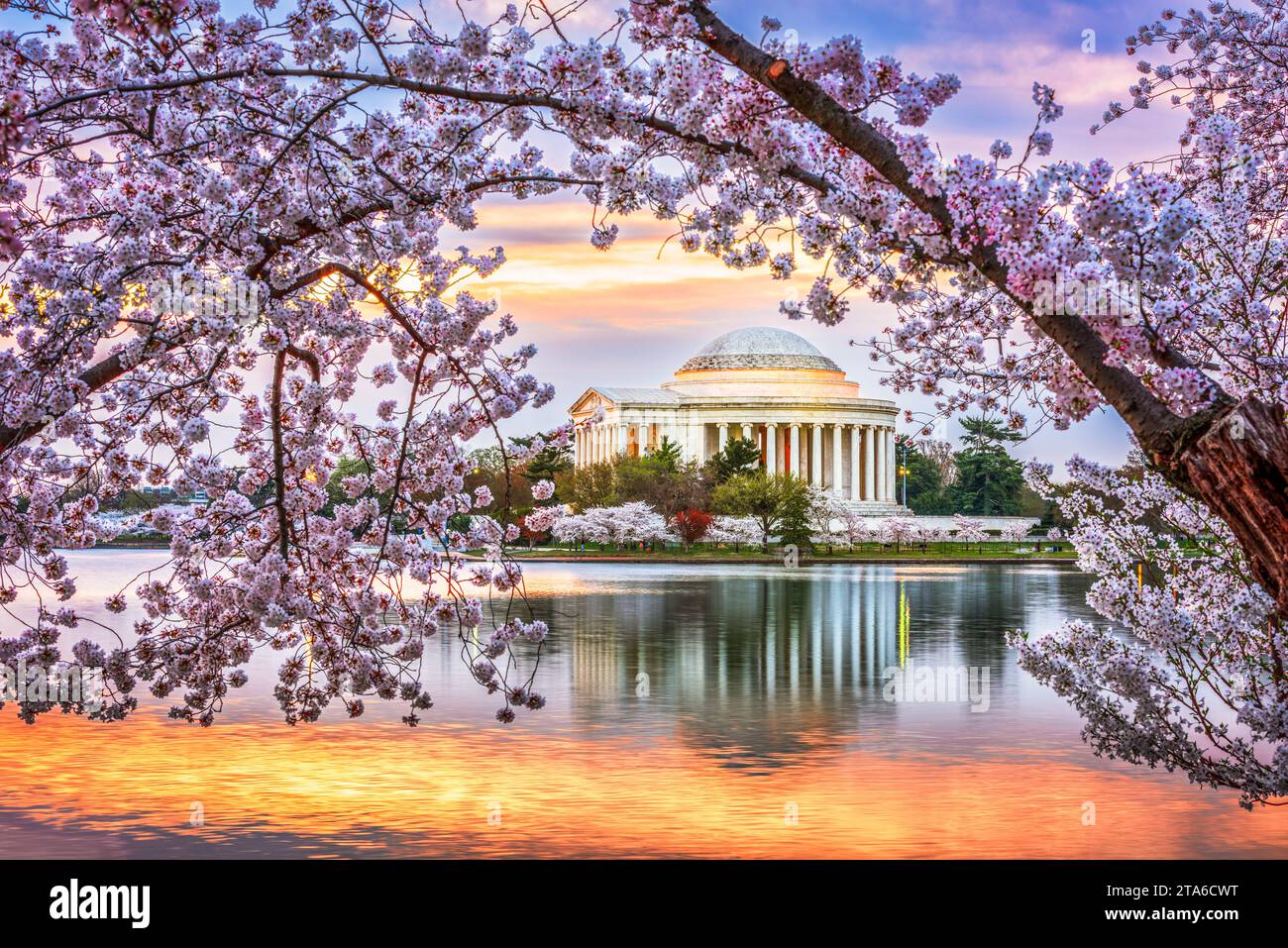 Tidal basin history hi-res stock photography and images - Alamy