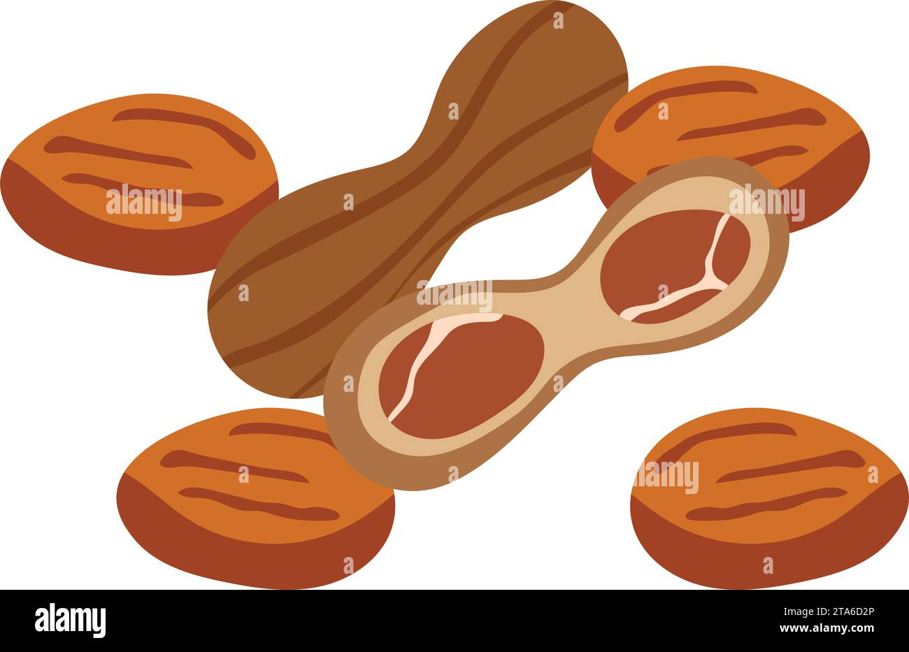 nuts group illustration vector isolated Stock Vector Image & Art - Alamy