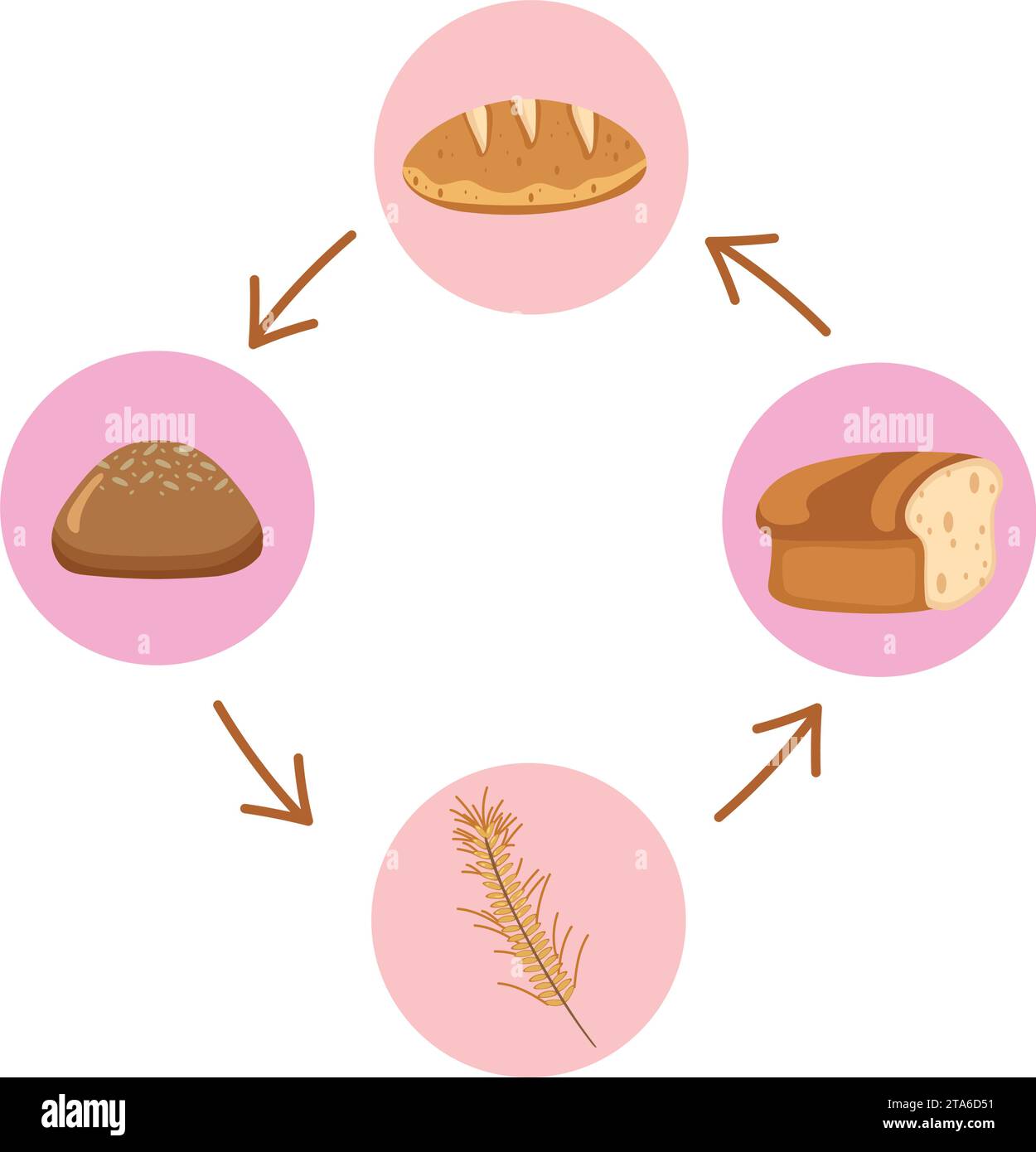 nutritional products in food cycle vector isolated Stock Vector Image ...